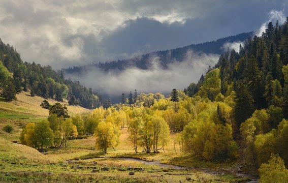 รูปภาพFalll – เลือกดูภาพถ่ายสต็อก เวกเตอร์ และวิดีโอ354 | Adobe Stock