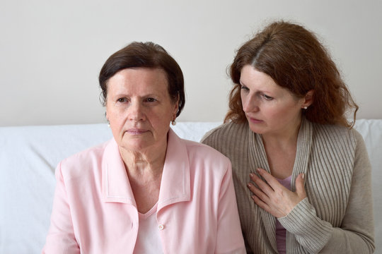 Stolidly Images – Browse 40 Stock Photos, Vectors, and Video | Adobe Stock