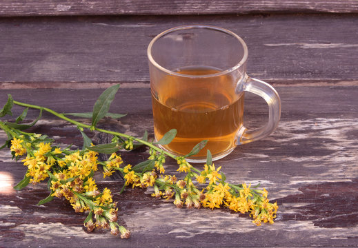 Imágenes de Solidago: descubre bancos de fotos, ilustraciones, vectores ...