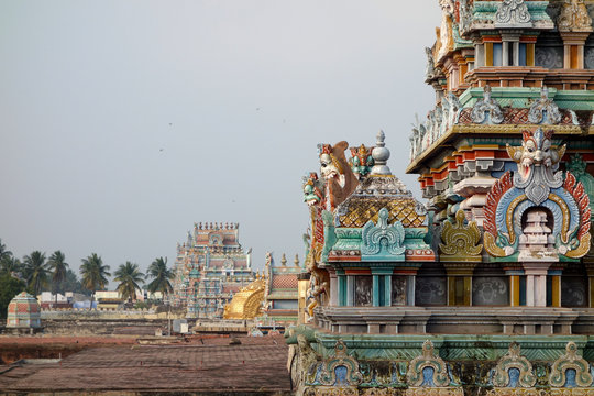 Ranga 이미지 – 찾아보기 192 스톡 사진, 벡터 및 비디오 | Adobe Stock