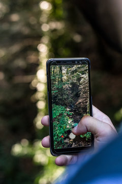 「Zlaca」の写真素材 | 13件の無料イラスト画像 | Adobe Stock