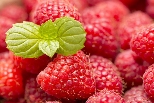 รูปภาพHeand – เลือกดูภาพถ่ายสต็อก เวกเตอร์ และวิดีโอ490 | Adobe Stock