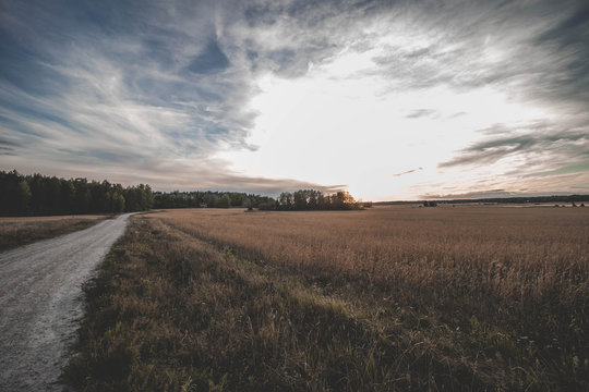 Oatfield Images – Browse 33 Stock Photos, Vectors, and Video | Adobe Stock