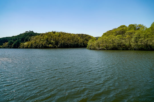 つばき園 Images – Browse 36 Stock Photos, Vectors, and Video | Adobe Stock