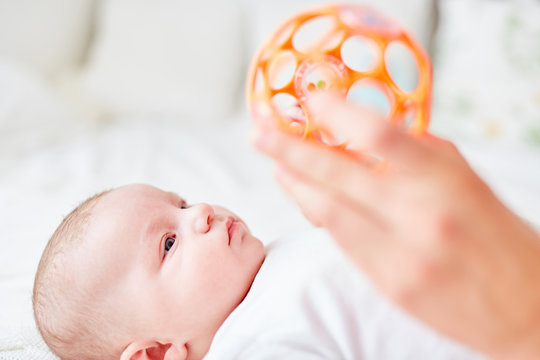 「Rassel」の画像 - 1,568 件の Stock 写真、ベクターおよびビデオ | Adobe Stock