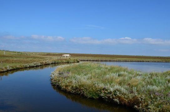 692 BESTE Warft BILDER, STOCK-FOTOS & -VEKTORGRAFIKEN | Adobe Stock