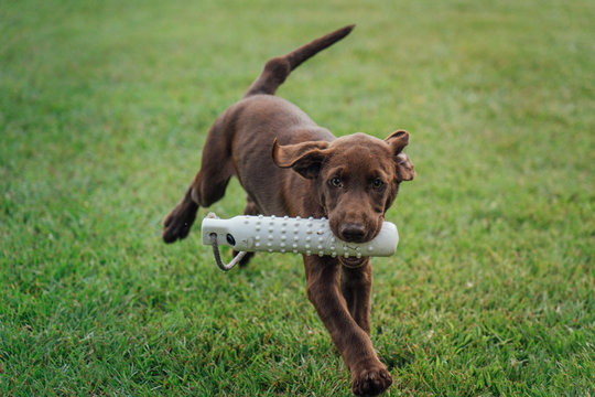 Fetching Images – Browse 3,580,774 Stock Photos, Vectors, and Video ...