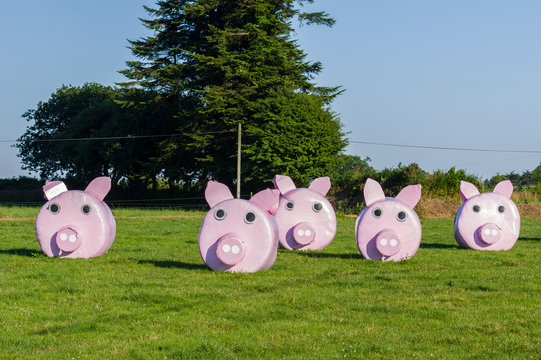 Imágenes de Cocasse: descubre bancos de fotos, ilustraciones, vectores ...