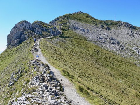 Felse Bilder – Durchsuchen 290 Archivfotos, Vektorgrafiken und Videos ...