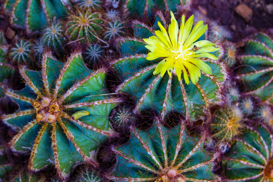 "Austin Koeckeritz"-Bilder: Stock-Fotos & -Videos. | Adobe Stock