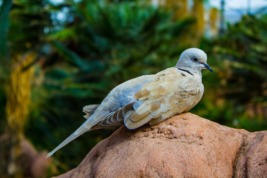 "Austin Koeckeritz"-Bilder: Stock-Fotos & -Videos. | Adobe Stock