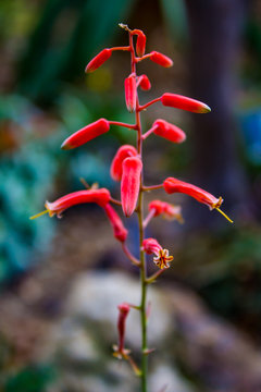 "Austin Koeckeritz" Bilder – Durchsuchen 114 Archivfotos ...