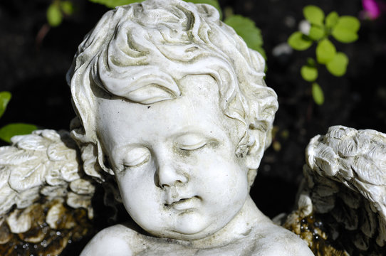 รูปภาพPacifistic – เลือกดูภาพถ่ายสต็อก เวกเตอร์ และวิดีโอ215 | Adobe Stock