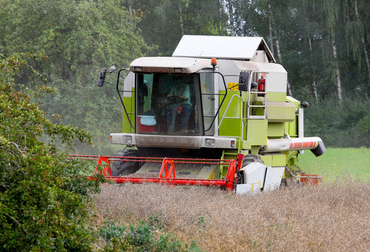 Gertse Bilder – Durchsuchen 33 Archivfotos, Vektorgrafiken und Videos ...