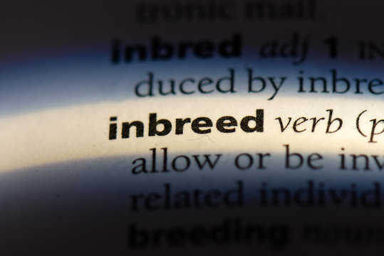 Inbred bilder – Bläddra bland 4,954 stockfoton, vektorer och videor ...