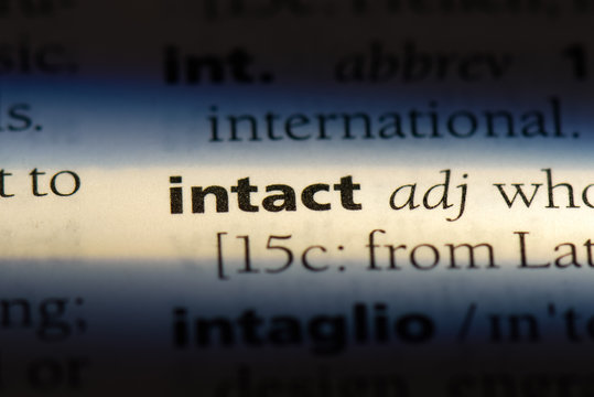 รูปภาพIntact – เลือกดูภาพถ่ายสต็อก เวกเตอร์ และวิดีโอ73,293 | Adobe Stock