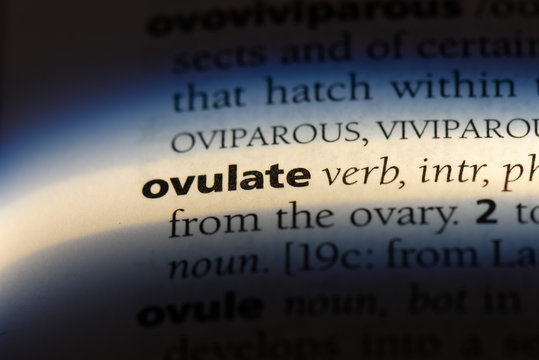 Imágenes de Ovulate: descubre bancos de fotos, ilustraciones, vectores ...