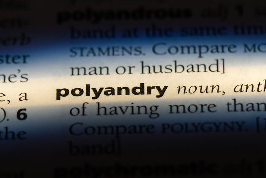 Polyandry Images – Browse 436 Stock Photos, Vectors, and Video | Adobe ...