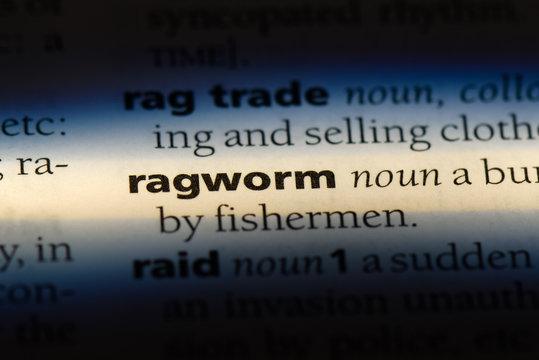 Ragworm Images – Browse 92 Stock Photos, Vectors, and Video | Adobe Stock