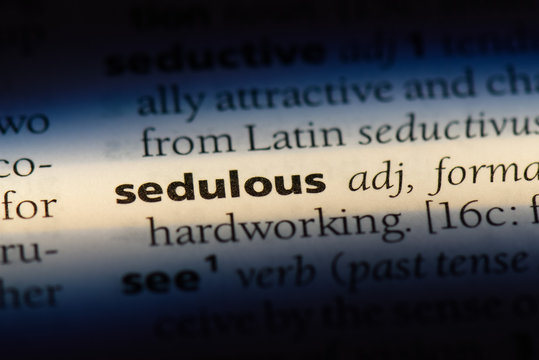 Sedulous Images – Browse 2,678 Stock Photos, Vectors, and Video | Adobe ...