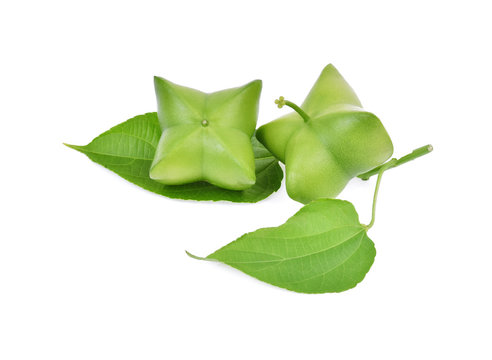 Inchi Bilder – Durchsuchen 2,011 Archivfotos, Vektorgrafiken und Videos ...