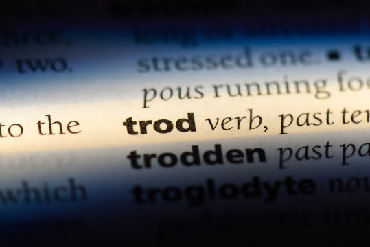 「Trod」の写真素材 | 639件の無料イラスト画像 | Adobe Stock