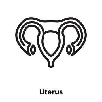 "Uterus Icon" Bilder – Durchsuchen 94 Archivfotos, Vektorgrafiken und ...