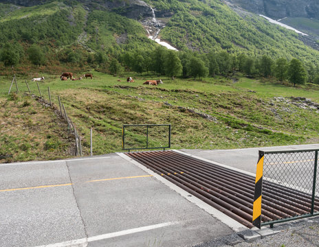 "Cattle Grid" Bilder – Durchsuchen 1,859 Archivfotos, Vektorgrafiken ...