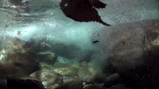 Undercurrent Bilder – Durchsuchen 457 Archivfotos, Vektorgrafiken und Videos | Adobe Stock