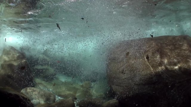 Undercurrent Images – Browse 1,385 Stock Photos, Vectors, and Video ...