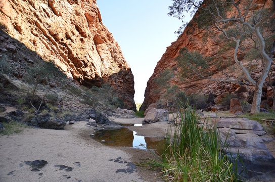 "Simpsons Gap" Bilder – Durchsuchen 133 Archivfotos, Vektorgrafiken und ...