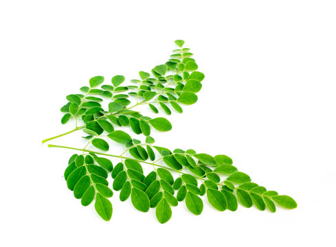 รูปภาพKelor – เลือกดูภาพถ่ายสต็อก เวกเตอร์ และวิดีโอ1,030 | Adobe Stock