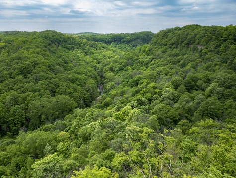 Rachel Lerch photos, images, assets | Adobe Stock