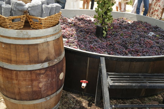 รูปภาพRancio – เลือกดูภาพถ่ายสต็อก เวกเตอร์ และวิดีโอ239 | Adobe Stock