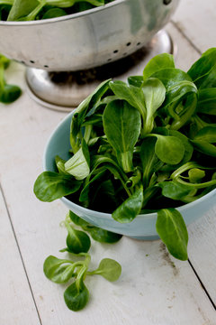 รูปภาพMache – เลือกดูภาพถ่ายสต็อก เวกเตอร์ และวิดีโอ9,638 | Adobe Stock