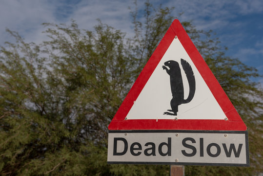 "Dead Slow" Images – Browse 33 Stock Photos, Vectors, and Video | Adobe ...