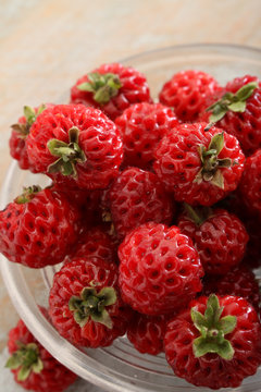 「Strasberry」の画像 - 24 件の Stock 写真、ベクターおよびビデオ | Adobe Stock