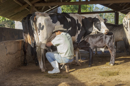 Bossage Images – Browse 37 Stock Photos, Vectors, and Video | Adobe Stock