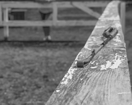 Lejce Bilder – Durchsuchen 29 Archivfotos, Vektorgrafiken und Videos ...