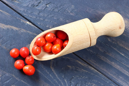 รูปภาพRowan-Berry – เลือกดูภาพถ่ายสต็อก เวกเตอร์ และวิดีโอ3,164 | Adobe ...