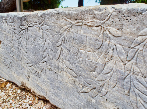 Peripatos Images – Browse 11 Stock Photos, Vectors, and Video | Adobe Stock