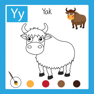 Yark Images – Browse 37 Stock Photos, Vectors, and Video | Adobe Stock