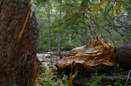 「Umelt」の画像 - 72 件の Stock 写真、ベクターおよびビデオ | Adobe Stock