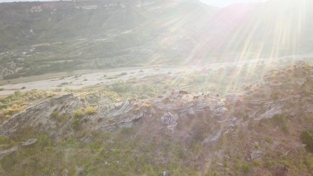 Pendio Images – Browse 1,440 Stock Photos, Vectors, and Video | Adobe Stock