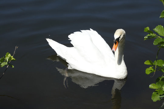 รูปภาพBadender – เลือกดูภาพถ่ายสต็อก เวกเตอร์ และวิดีโอ190 | Adobe Stock