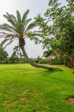 Rotshild Images – Browse 22 Stock Photos, Vectors, and Video | Adobe Stock