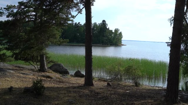 Vass Images – Browse 259 Stock Photos, Vectors, and Video | Adobe Stock