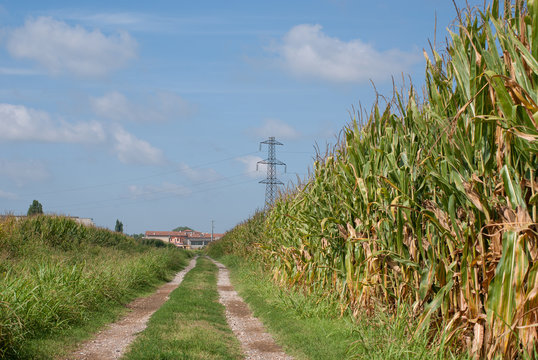 "Campi Coltivati"-Bilder: Stock-Fotos & -Videos. | Adobe Stock