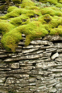 Cabote Images – Browse 39 Stock Photos, Vectors, and Video | Adobe Stock