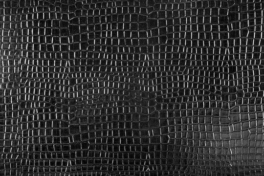 Alligator Texture Images – Browse 14,746 Stock Photos, Vectors, and ...